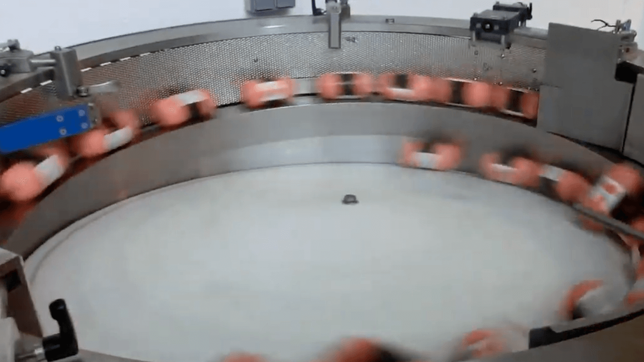 Flowpack Loading | Velec Systems