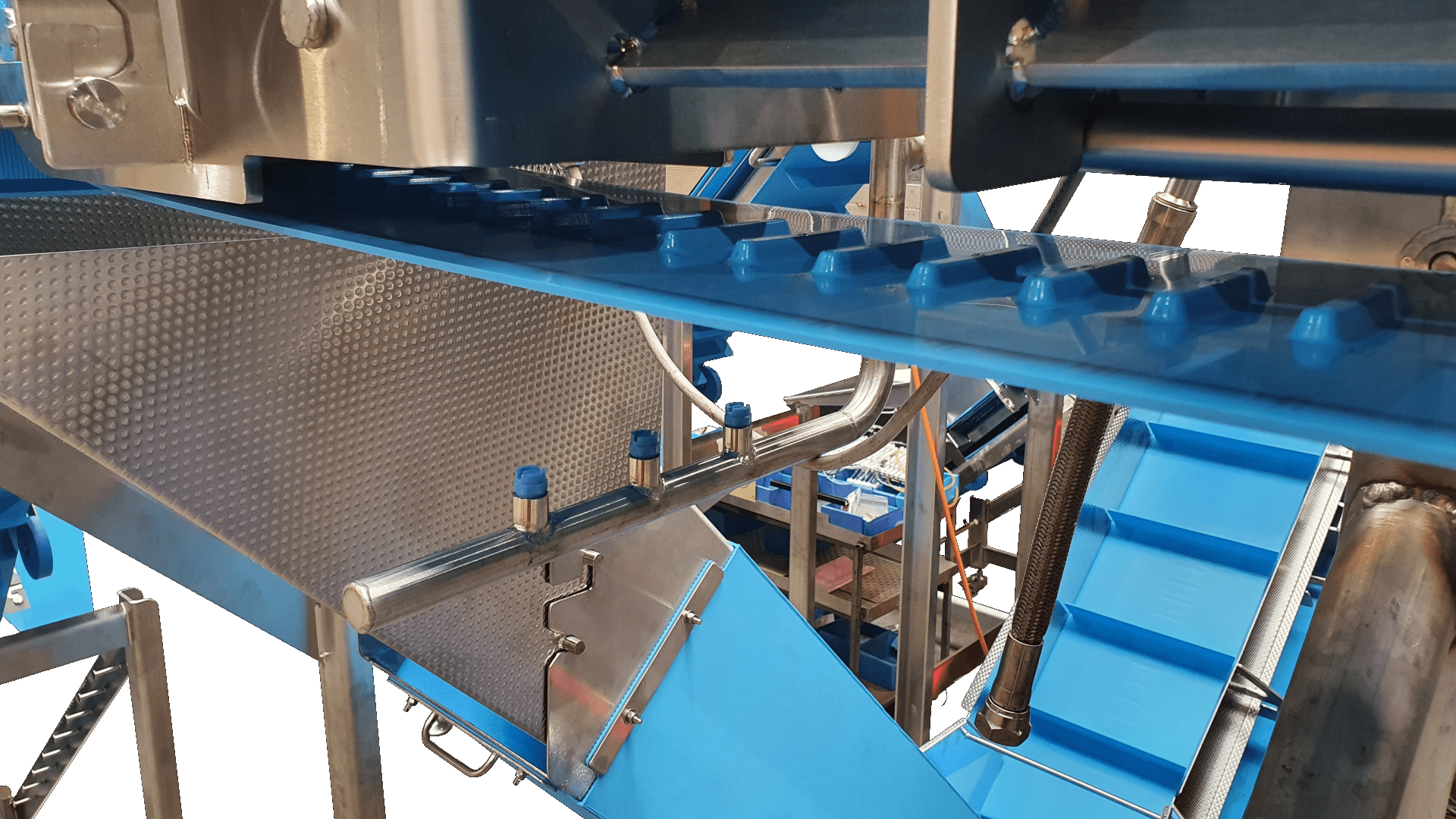 The Benefits of Hygienic Design in the Food Industry for Sustainable ...