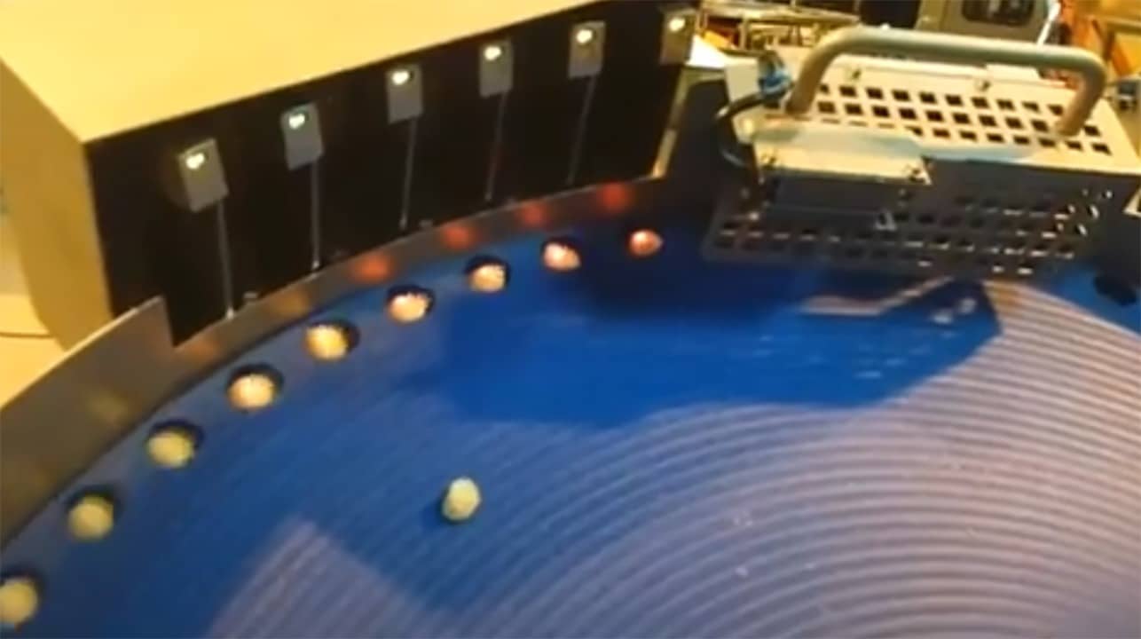 IQF Mozzarella Counting Solution | Velec Systems