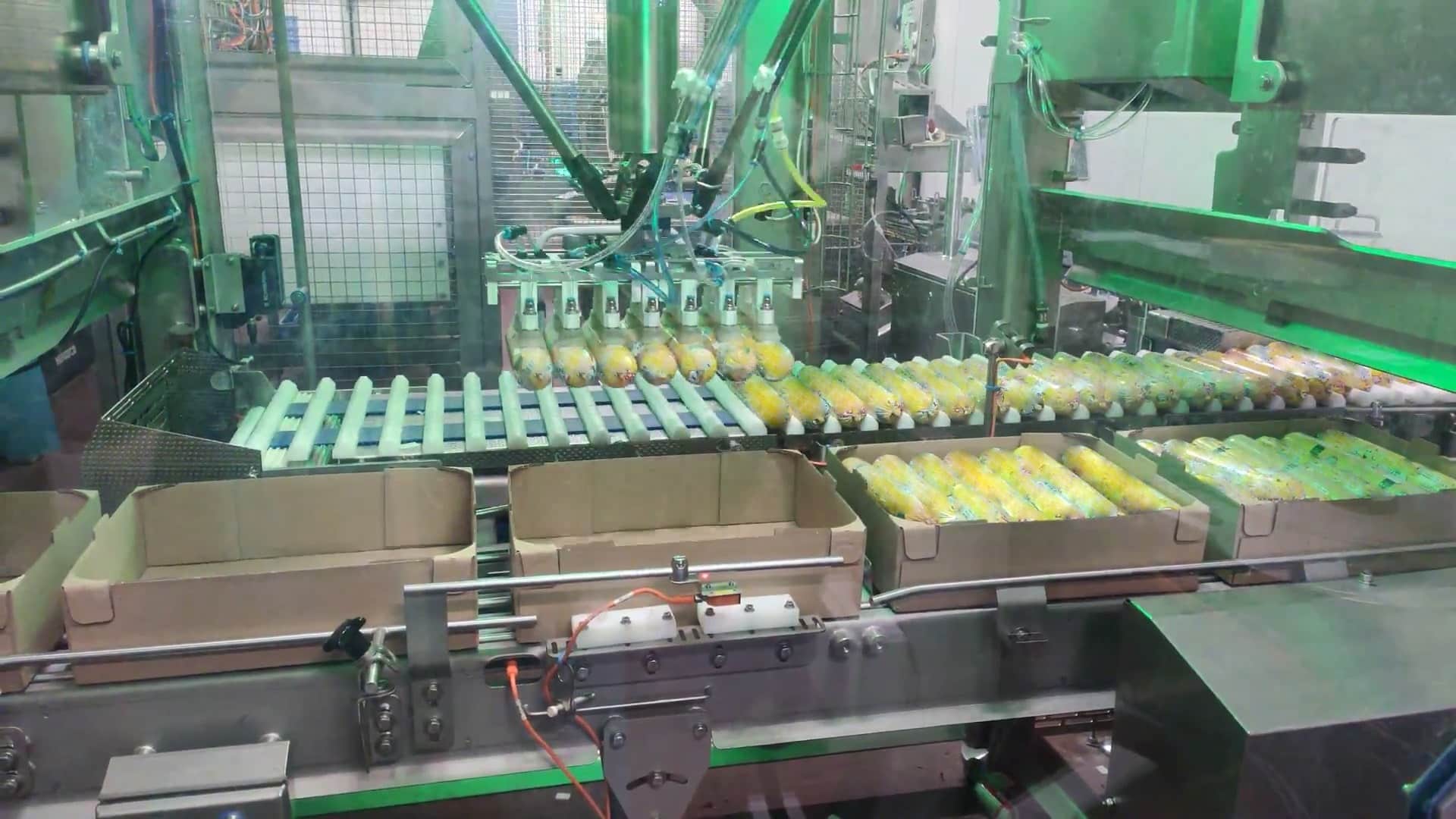 Sausage Chub Packer | Velec Systems