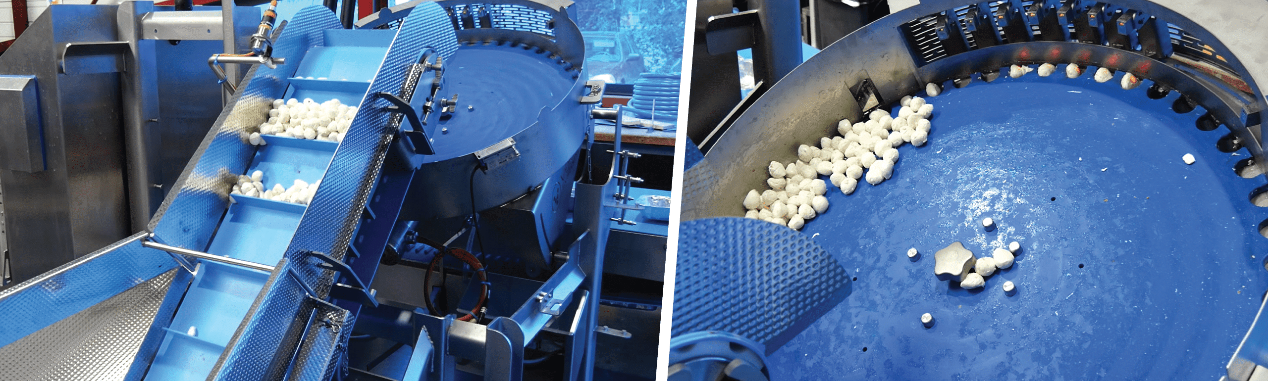 IQF Mozzarella Counting Solution | Velec Systems