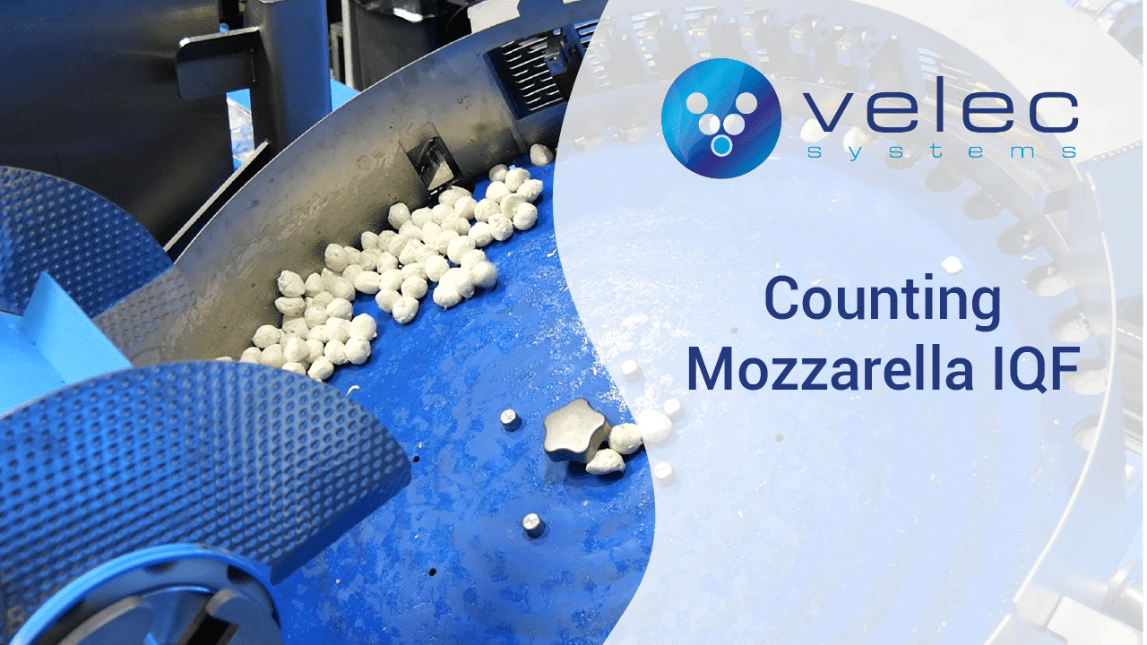 IQF Mozzarella Counting Solution | Velec Systems