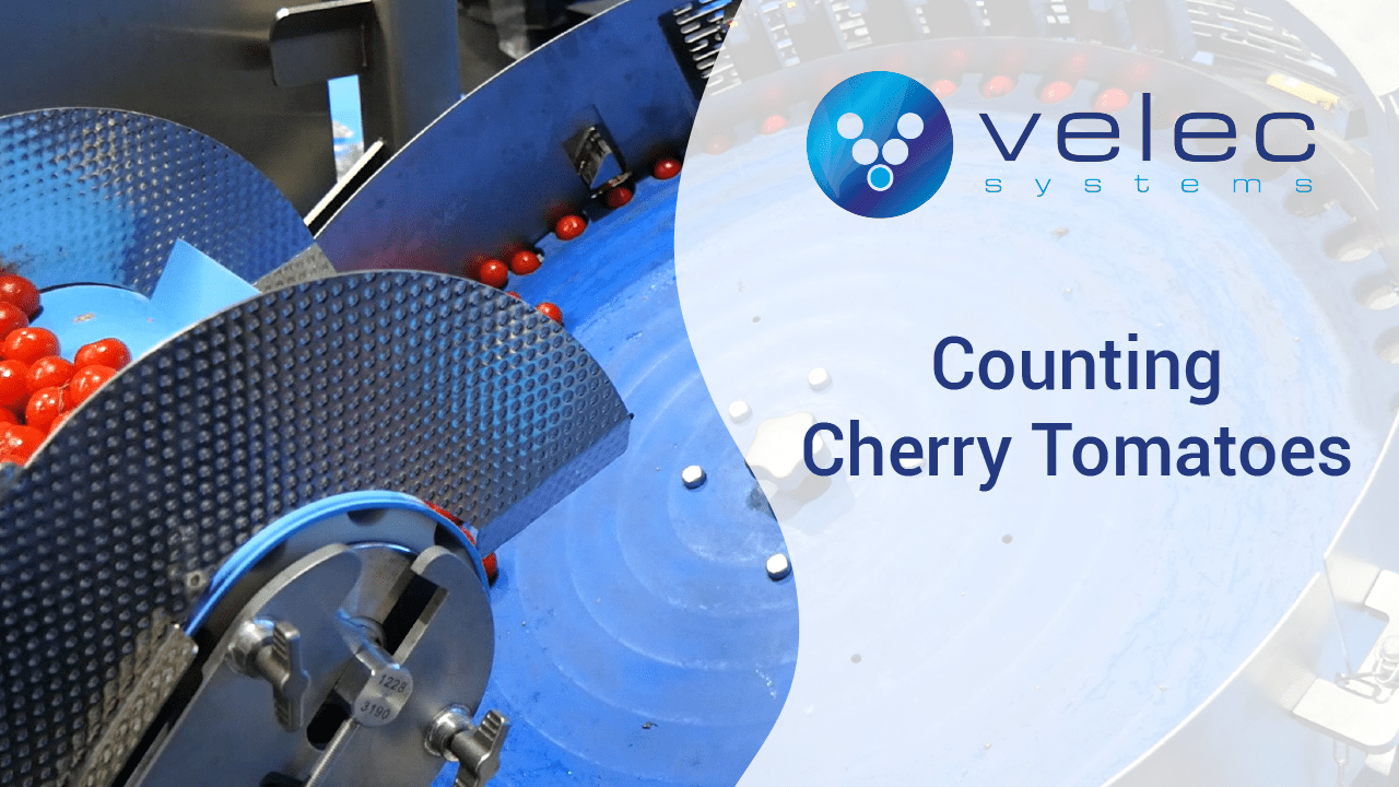 Cherry Tomatoes Counter | Velec Systems
