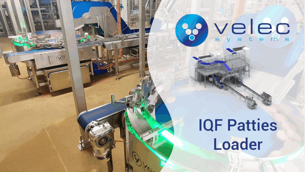 IQF Patties Loader | Velec Systems